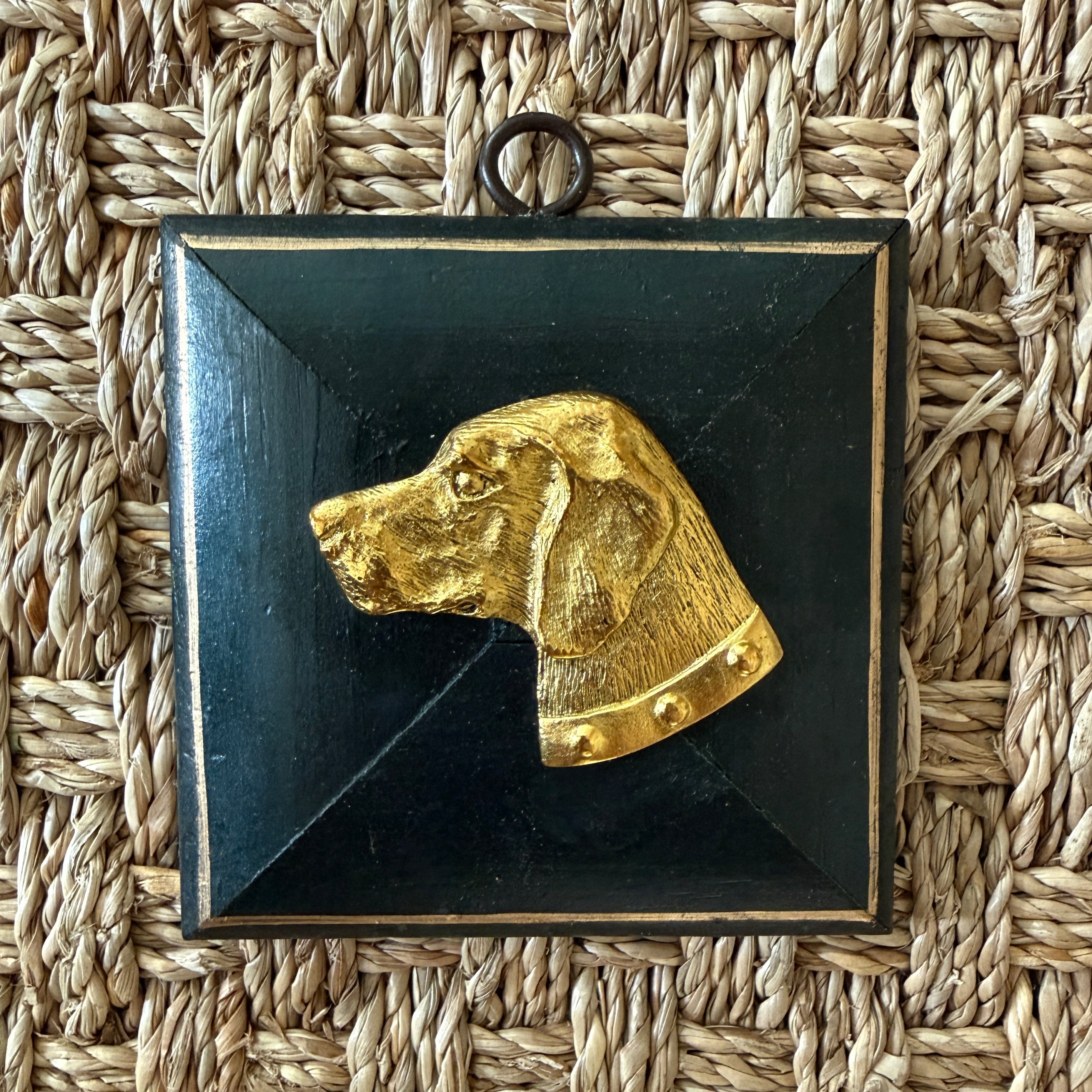 Museum Bee, Wooden Frame with Snake - Hunt and Bloom