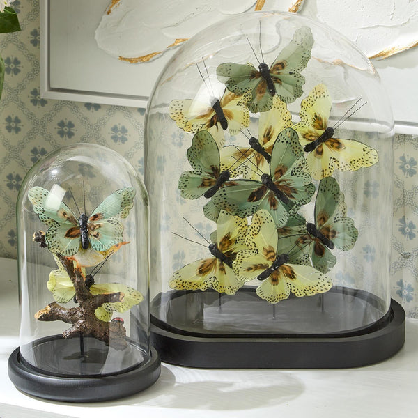 Flutter Glass Dome - Hunt and Bloom